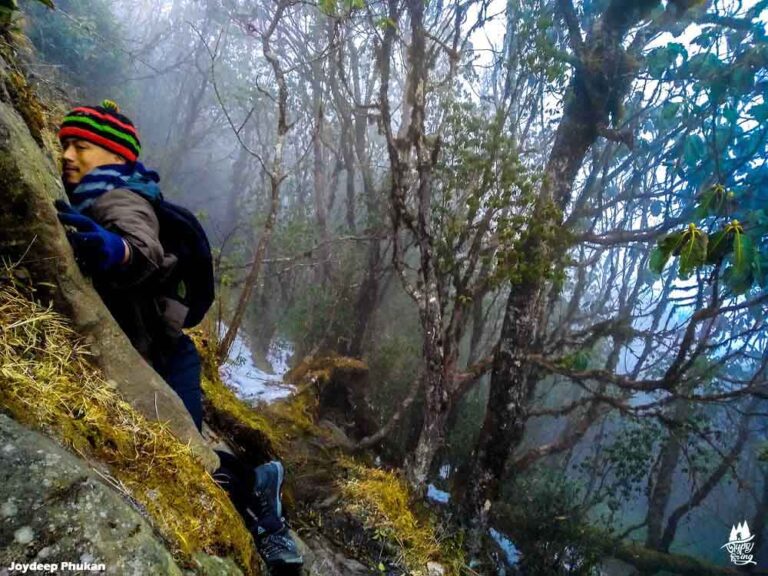 Mount Japfu Peak Trek In Nagaland-A Complete Trek Guide.