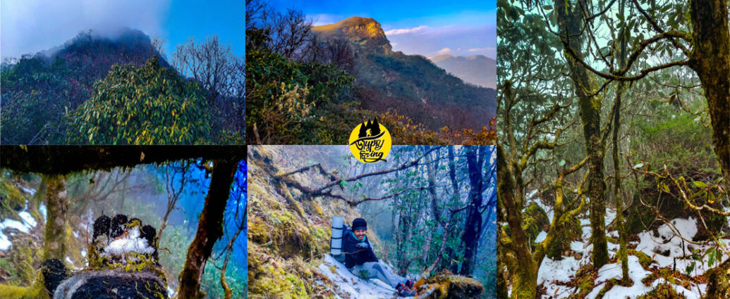 Mount Japfu Peak Trek-Climbing The Thrilling 2nd Highest Peak Of Nagaland