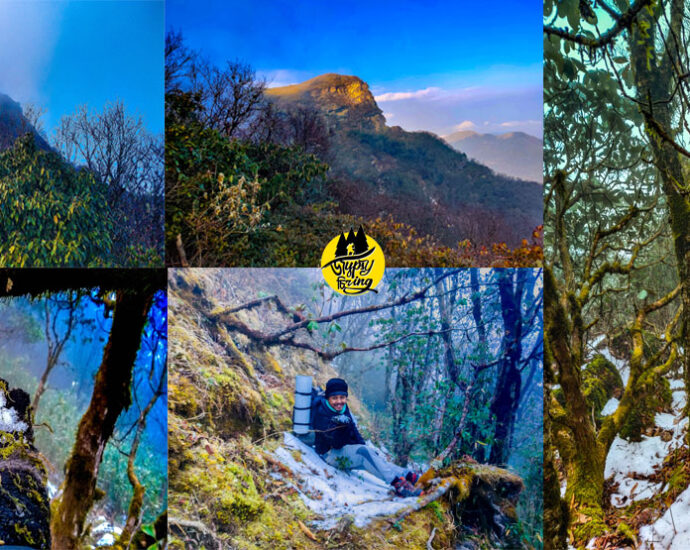 Beautiful Dzukou Valley Trek Via Jakhama In Nagaland, India