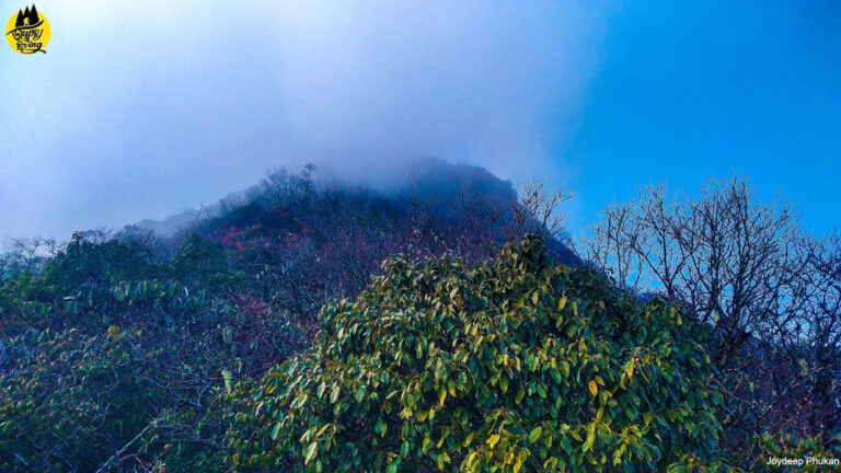Mount Japfu Peak Trek In Nagaland-A Complete Trek Guide.