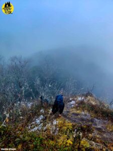 Mount Japfu Peak Trek In Nagaland-A Complete Trek Guide.